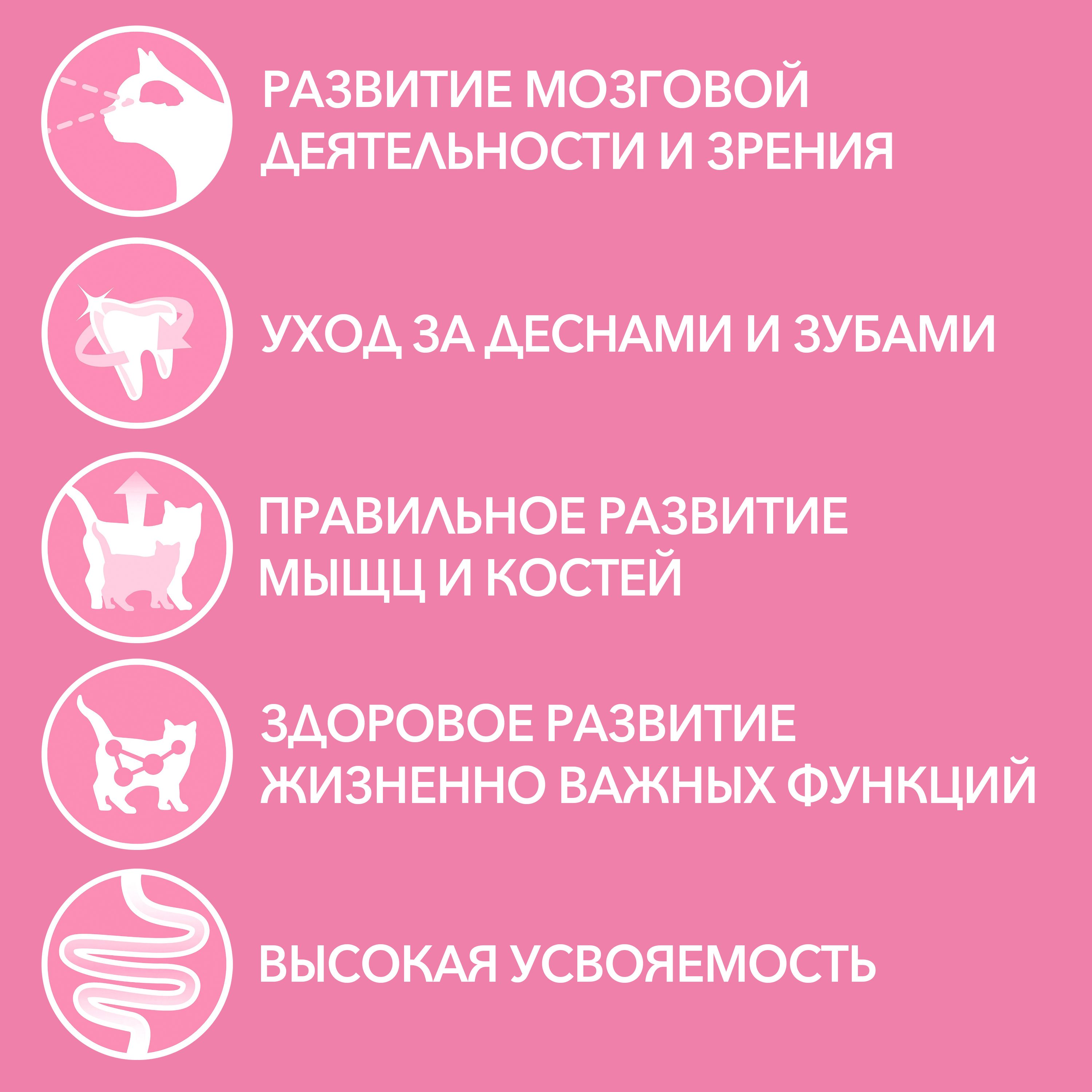 Консервированный корм Purina ONE для котят с курицей и морковью