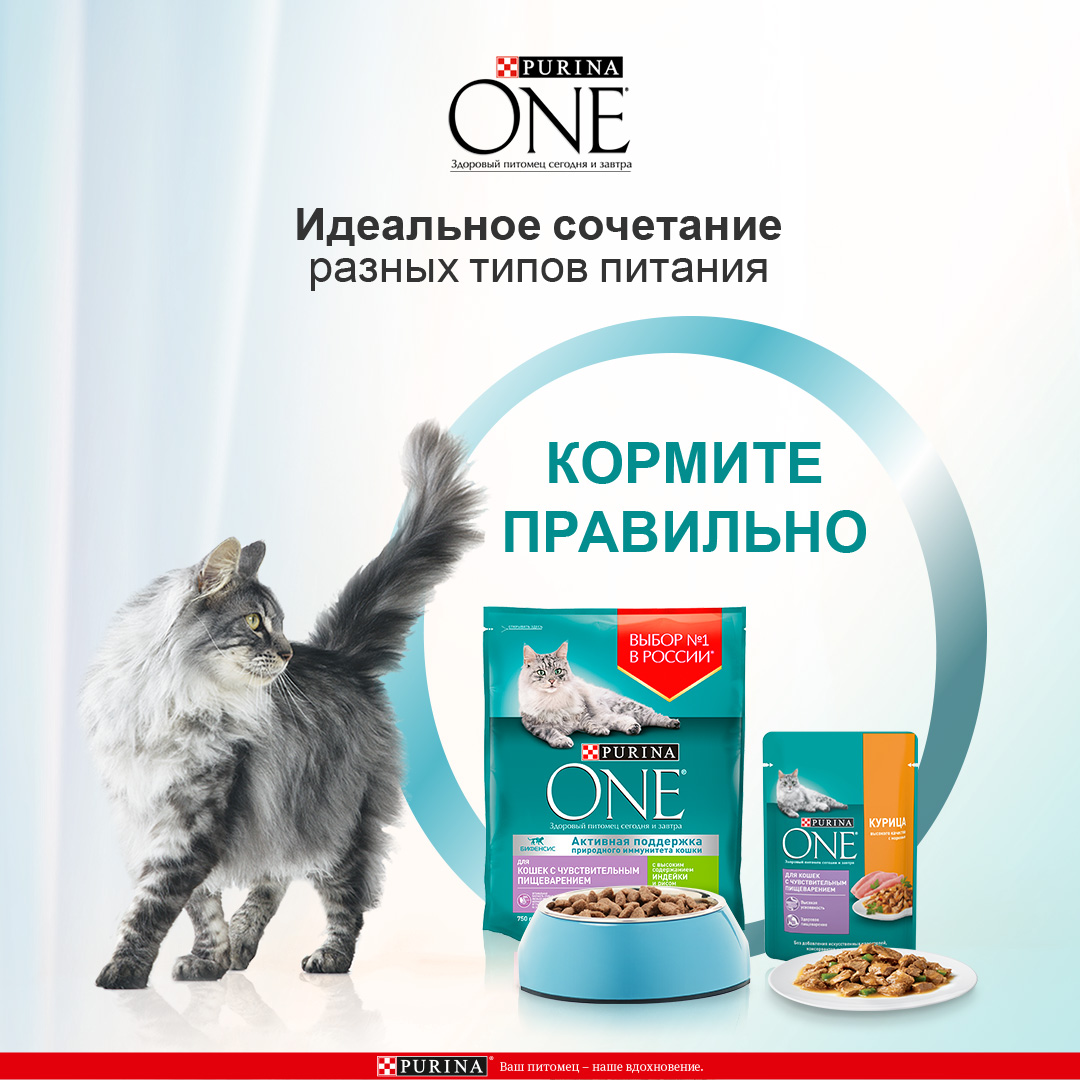 Влажный корм для кошек с чувствительным пищеварением Purina ONE®