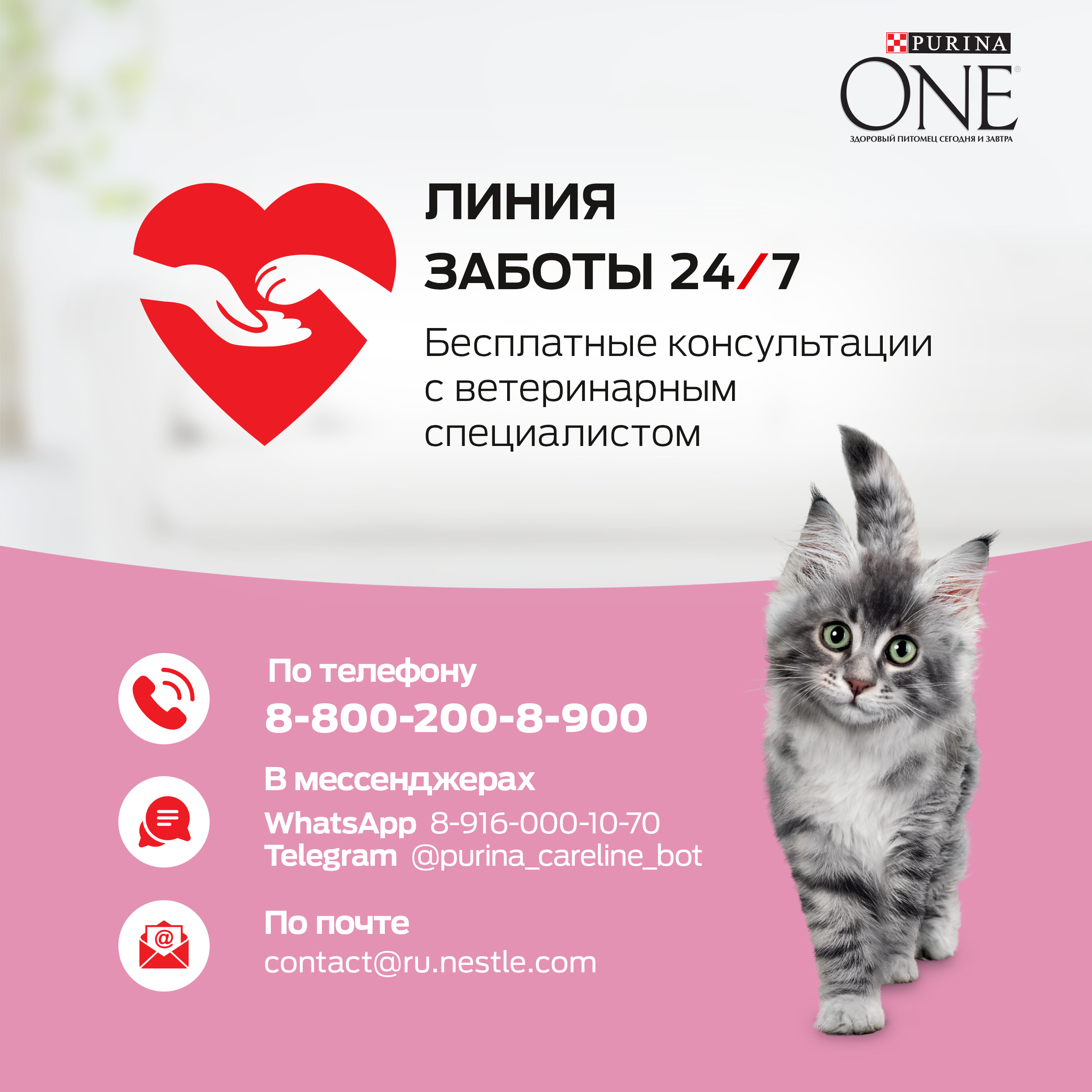 Консервированный корм Purina ONE для котят с курицей и морковью