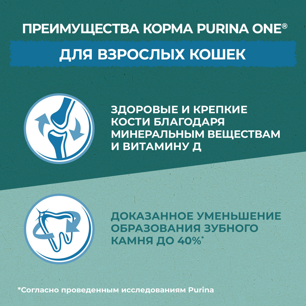 Сухой корм Purina ONE® Природа Здоровья | Purina ONE
