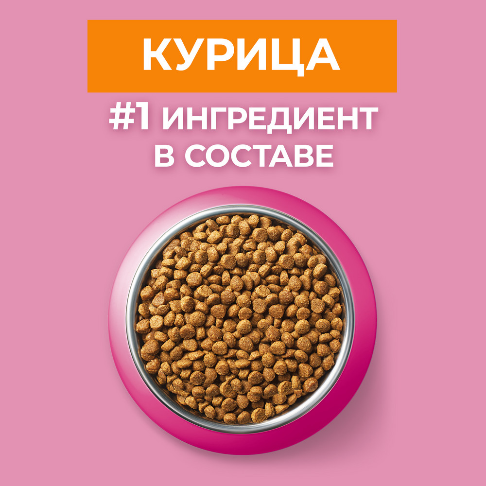 Сухой корм Purina ONE для котят с курицей и злаками - PurinaOne.ru