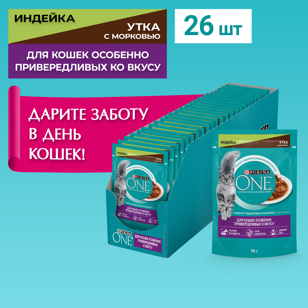 Влажный корм Purina ONE® | Purina ONE
