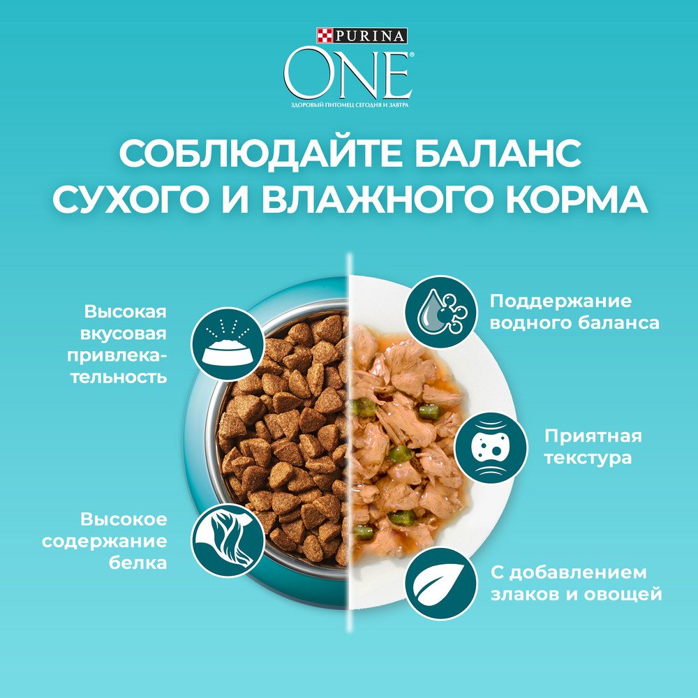 Сухой корм для кошек Purina ONE корм для кошек с курицей и злаками
